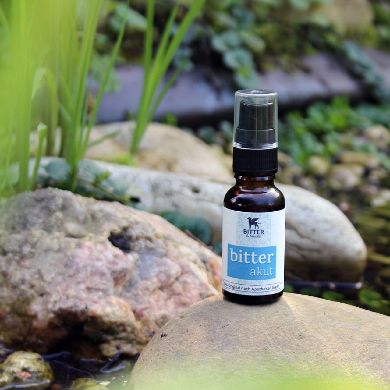 Bitter & Friends | Bitterstoffe als Tropfen, Bitter-Elixier, Tee & Co ...